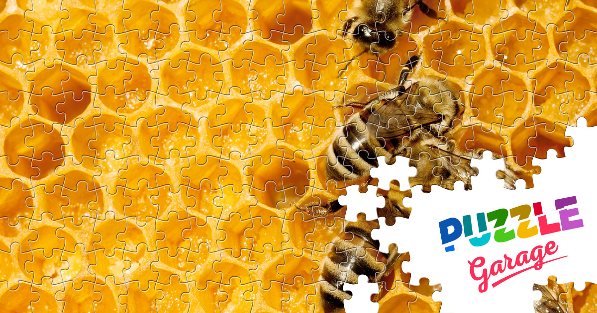Bees Jigsaw Puzzle (Animals, Insects) | Puzzle Garage