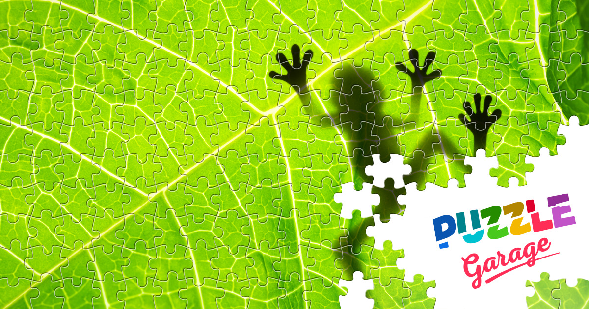 Frog shadow Jigsaw Puzzle (Other, Macro) | Puzzle Garage