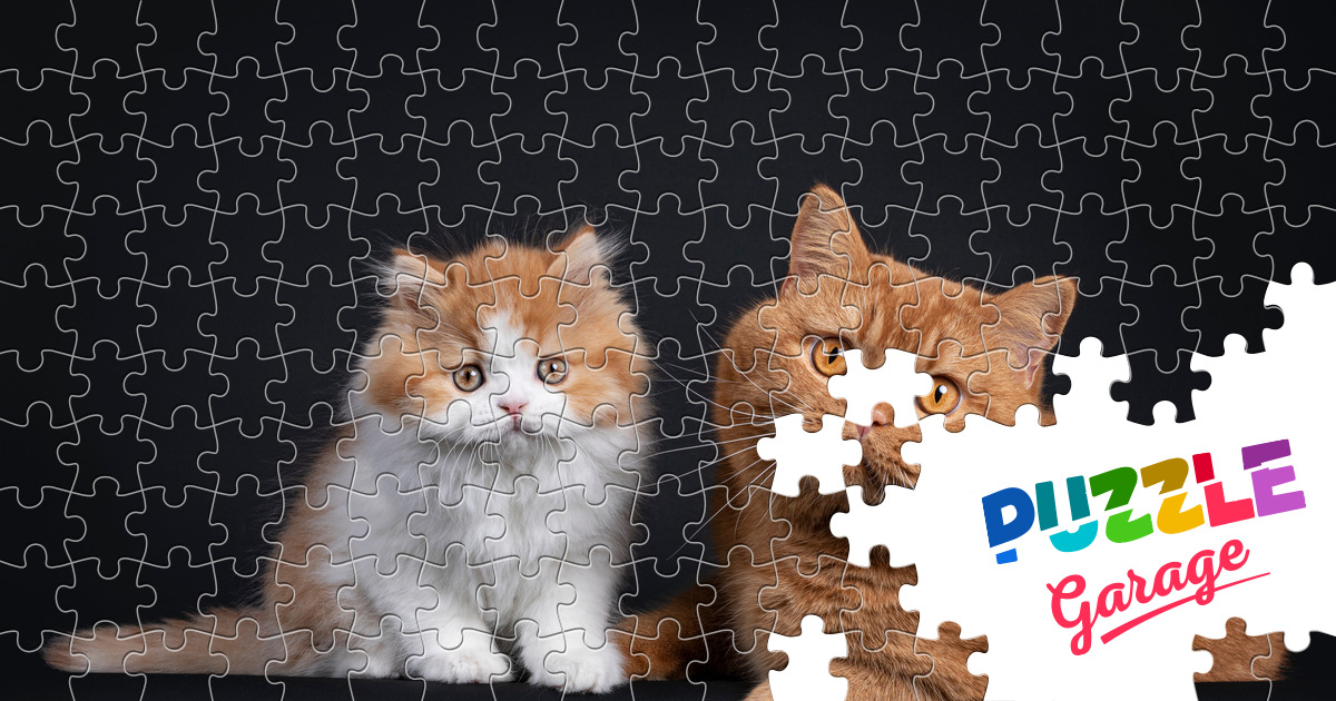Red cat and kitten Jigsaw Puzzle (Animals, Pets) | Puzzle Garage