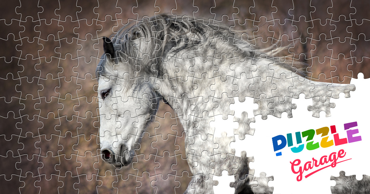 gray horse Jigsaw Puzzle (Animals, Horses) | Puzzle Garage