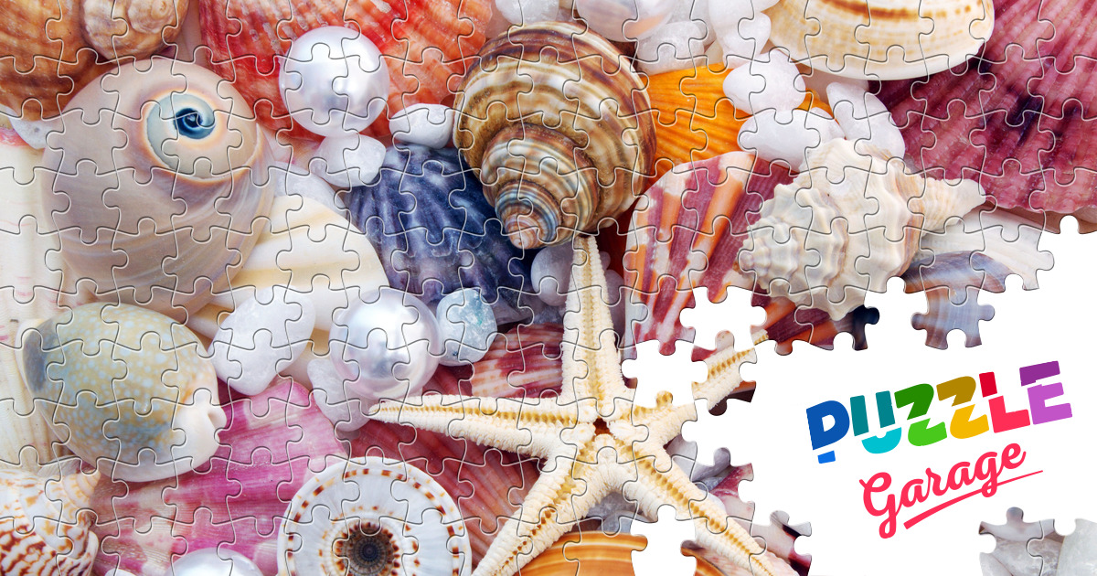 Seashells and pearls Jigsaw Puzzle (Animals, Marine life) | Puzzle Garage