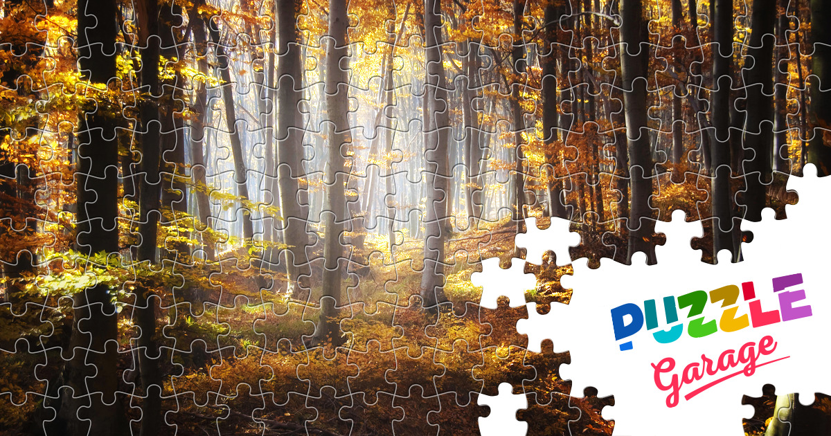 Forest Jigsaw Puzzle (Nature, Forest) | Puzzle Garage