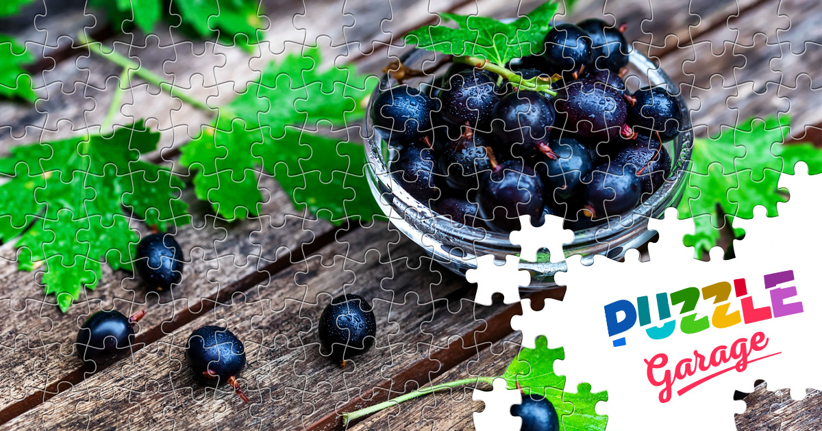 Black currant berries Jigsaw Puzzle (Plants, Berries) | Puzzle Garage