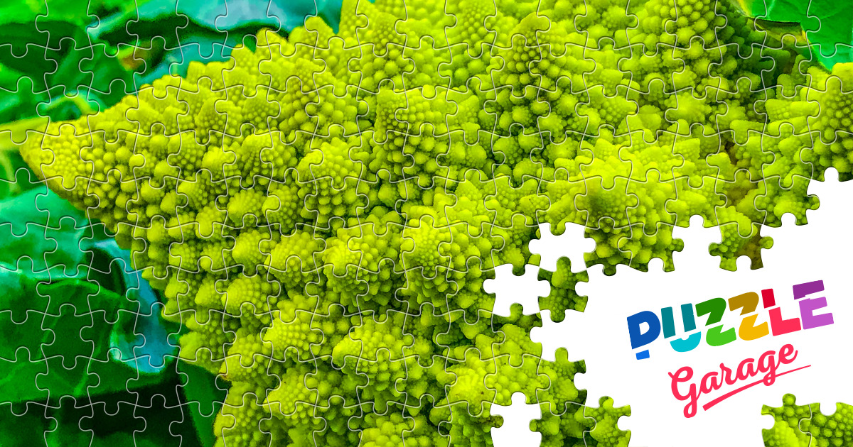 Romanesco cabbage close up Jigsaw Puzzle (Plants, Vegetables) | Puzzle ...