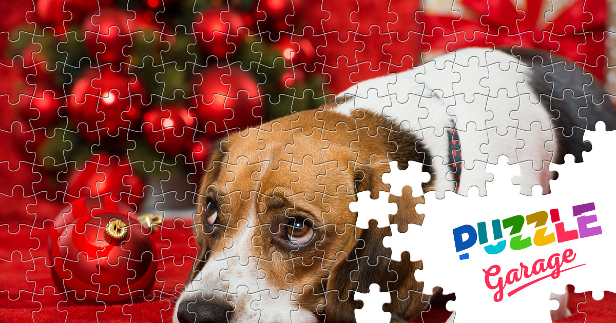 Beagle and Christmas toys Jigsaw Puzzle (Animals, Pets) | Puzzle Garage