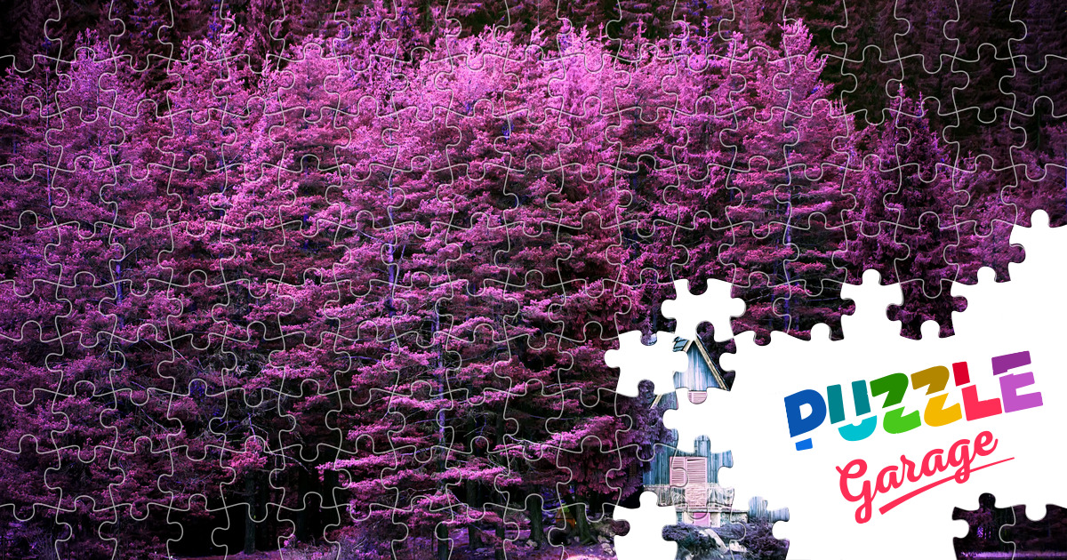 Purple forest Jigsaw Puzzle (Nature, Forest) | Puzzle Garage