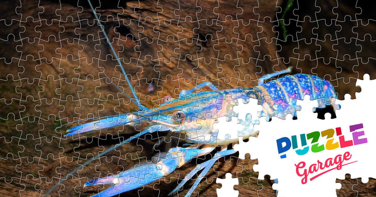 Blue crab Jigsaw Puzzle (Animals, Marine life) | Puzzle Garage