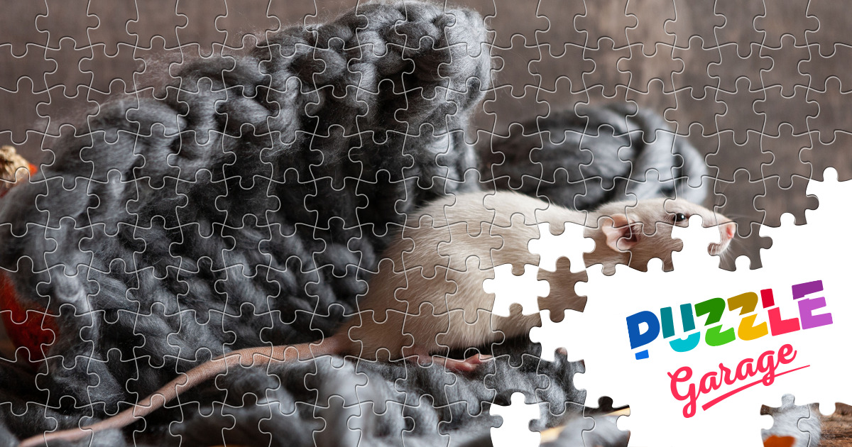 A rat on grey yarn Jigsaw Puzzle (Animals, Pets) | Puzzle Garage