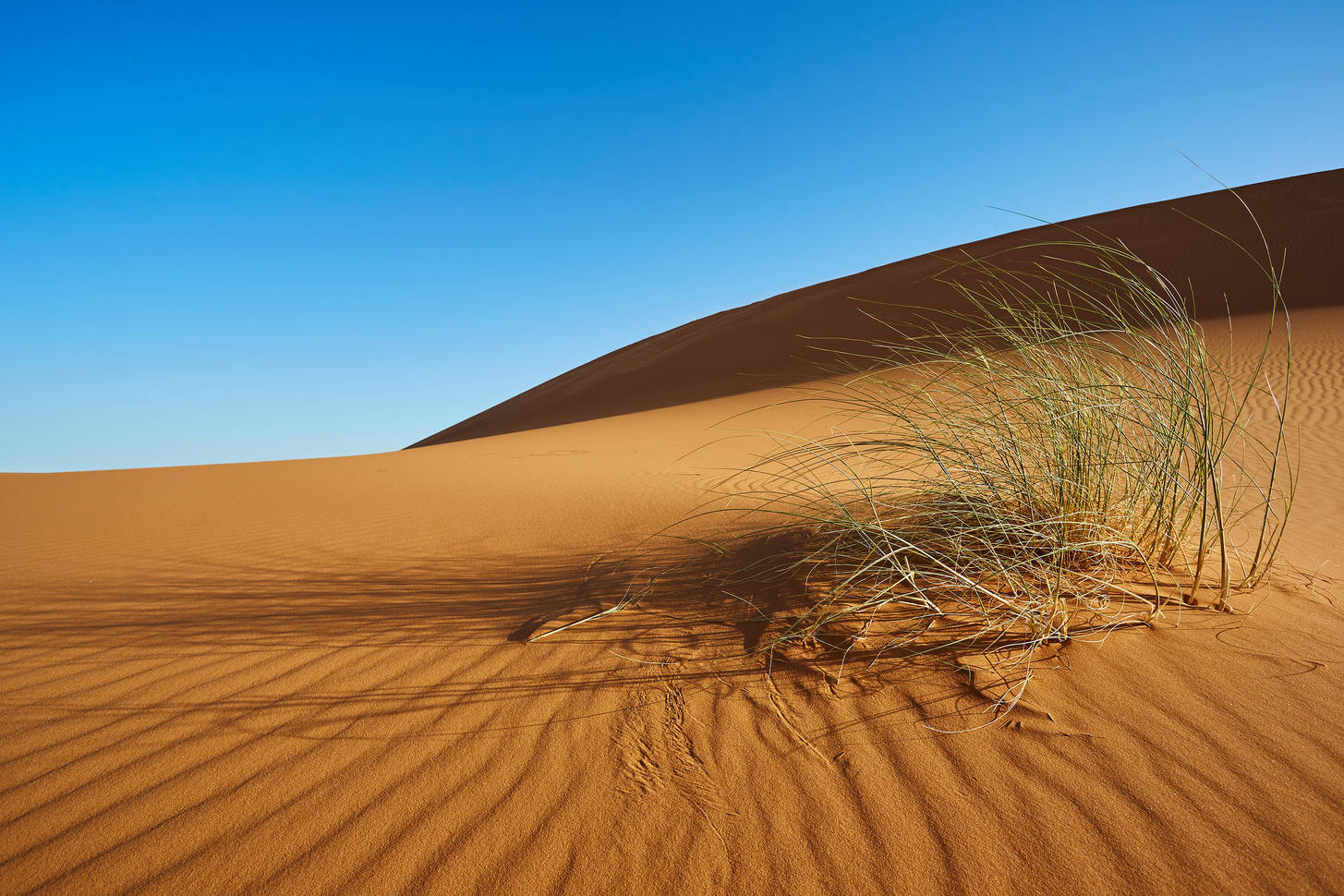 Desert Jigsaw Puzzle (Nature, Desert) | Puzzle Garage