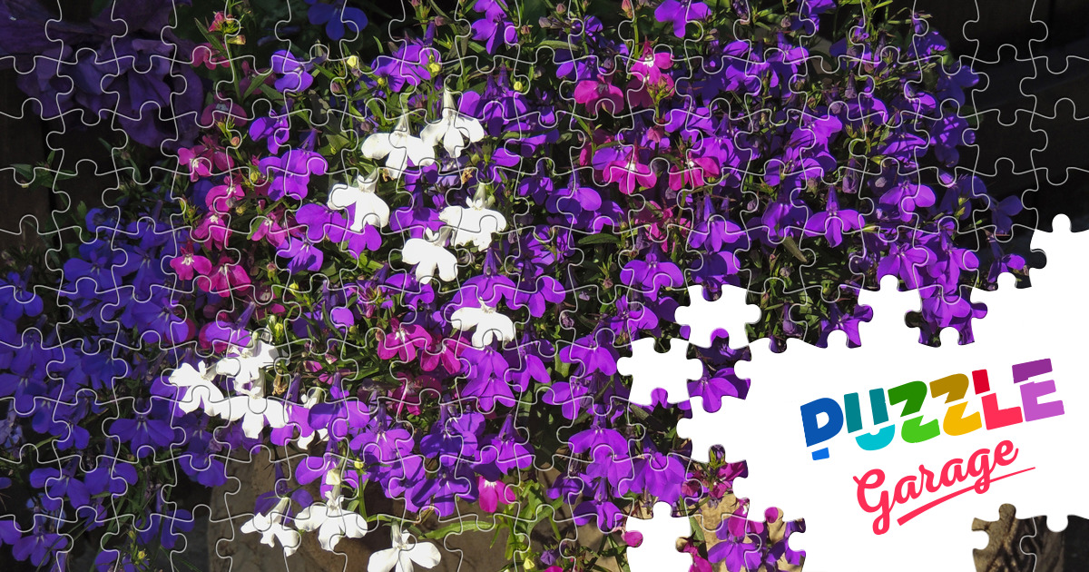White and purple garden flowers Jigsaw Puzzle (Plants, Flowers ...