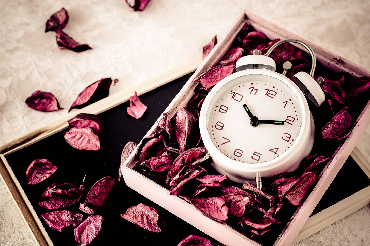 Alarm clock in a box with petals Jigsaw Puzzle (Stuff, Watches ...