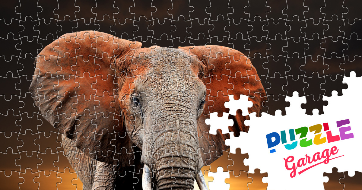 Elephant at sunset Jigsaw Puzzle (Animals, Mammals) | Puzzle Garage