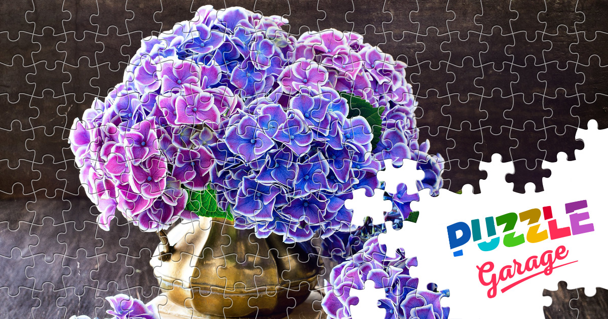 Bouquet of hydrangeas in a vase Jigsaw Puzzle (Plants, Flowers ...
