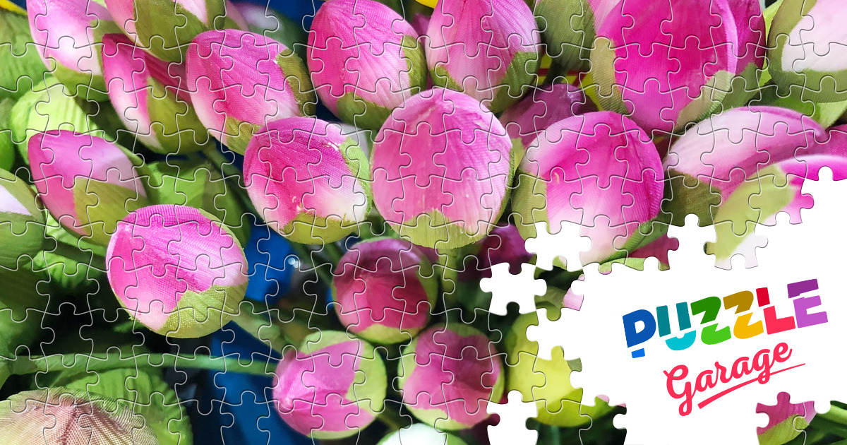 Lotus flower buds Jigsaw Puzzle (Plants, Flowers) | Puzzle Garage