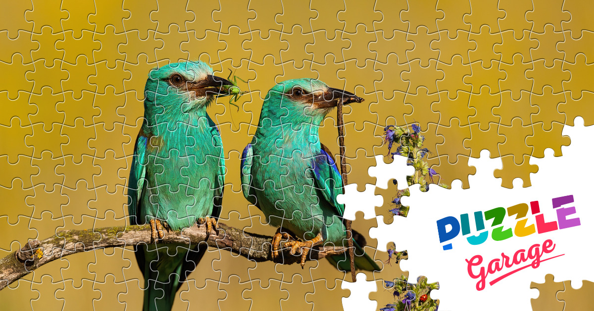Emerald birds Jigsaw Puzzle (Animals, Birds) | Puzzle Garage
