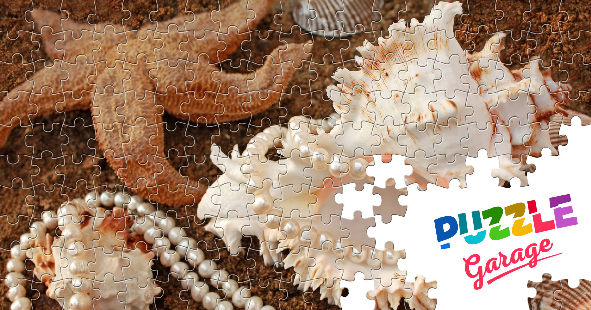 Pearl necklace on a shell Jigsaw Puzzle (Stuff, Jewellery) | Puzzle Garage