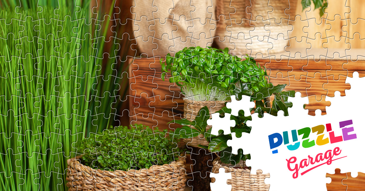 Houseplants on wooden shelves Jigsaw Puzzle (Plants, Flowers) | Puzzle ...