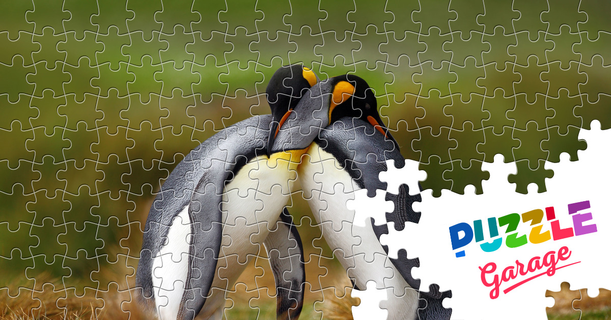 A pair of king penguins Jigsaw Puzzle (Animals, Birds) | Puzzle Garage