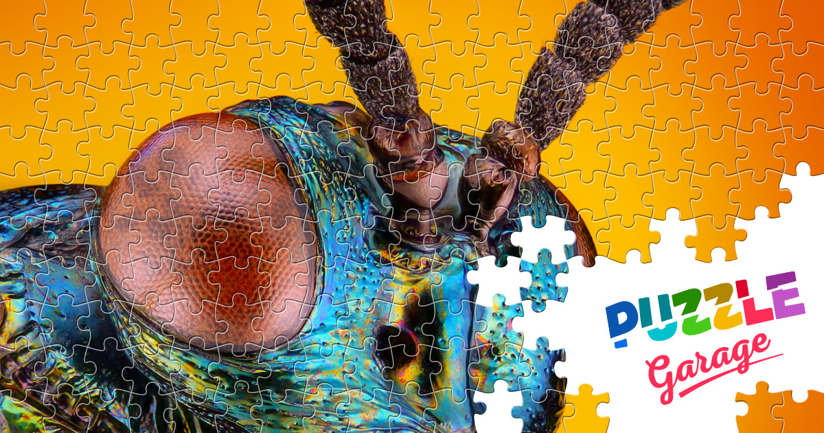 Wasp on yellow background Jigsaw Puzzle (Animals, Insects) | Puzzle Garage