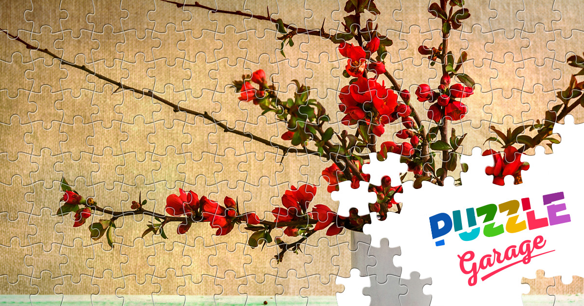 Barberry flowers Jigsaw Puzzle (Plants, Flowers) | Puzzle Garage