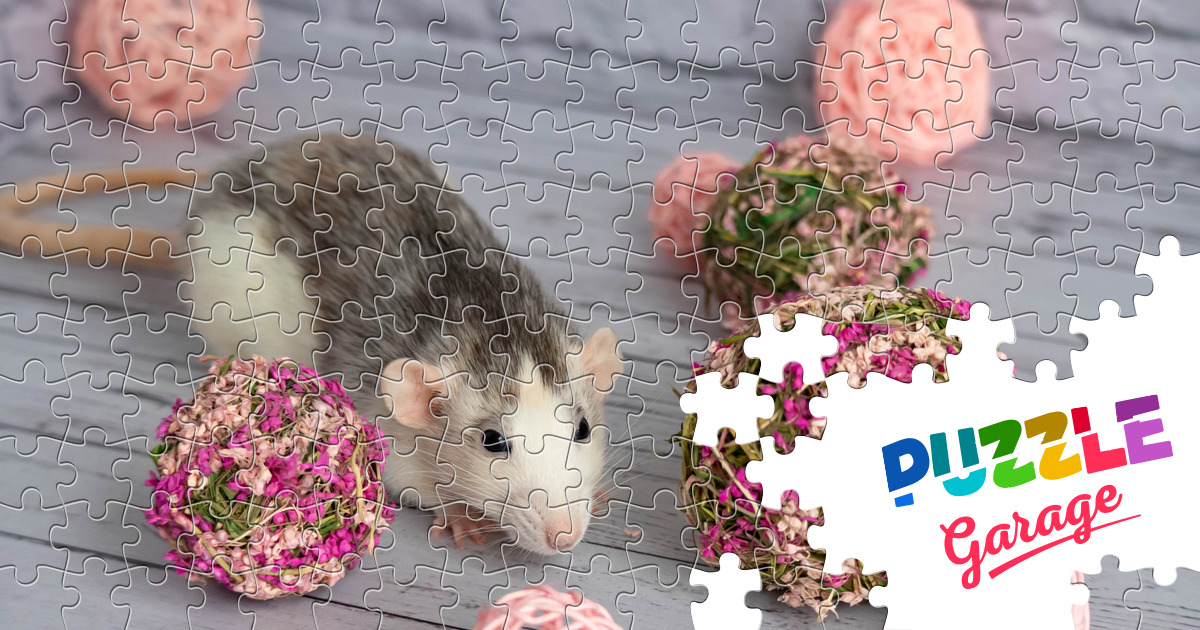 Rat and balloons with flowers Jigsaw Puzzle (Animals, Pets) | Puzzle Garage