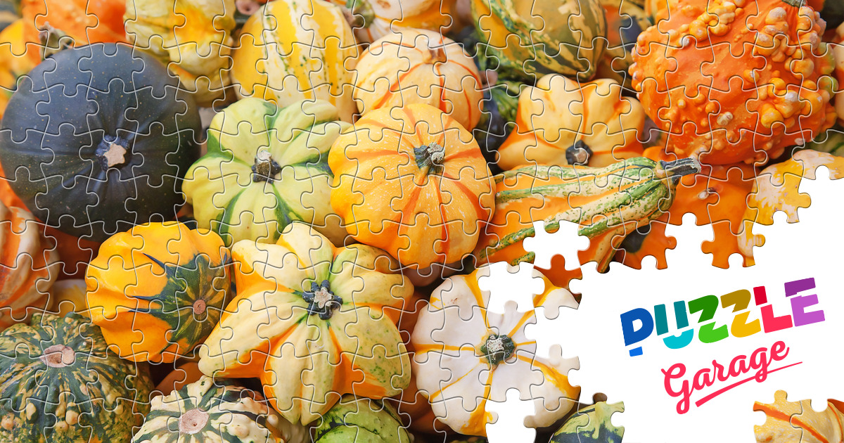 Ripe pumpkins Jigsaw Puzzle (Plants, Vegetables) | Puzzle Garage