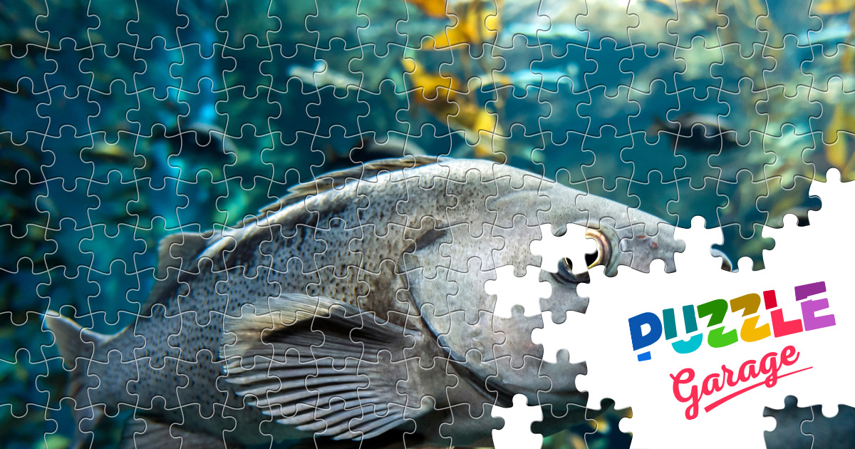 Largemouth Bass Jigsaw Puzzle (Animals, Marine life) | Puzzle Garage