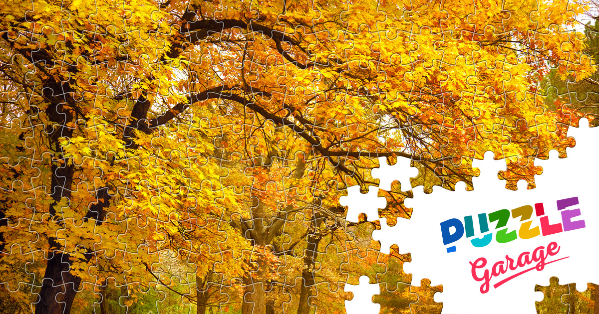 Fall Jigsaw Puzzle (Nature, Forest) | Puzzle Garage