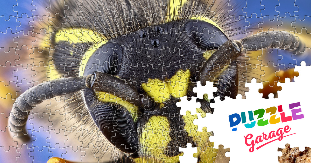 Wasp portrait Jigsaw Puzzle (Other, Macro) | Puzzle Garage