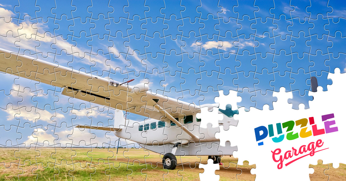 White charter plane Jigsaw Puzzle (Technics, Aviation) | Puzzle Garage