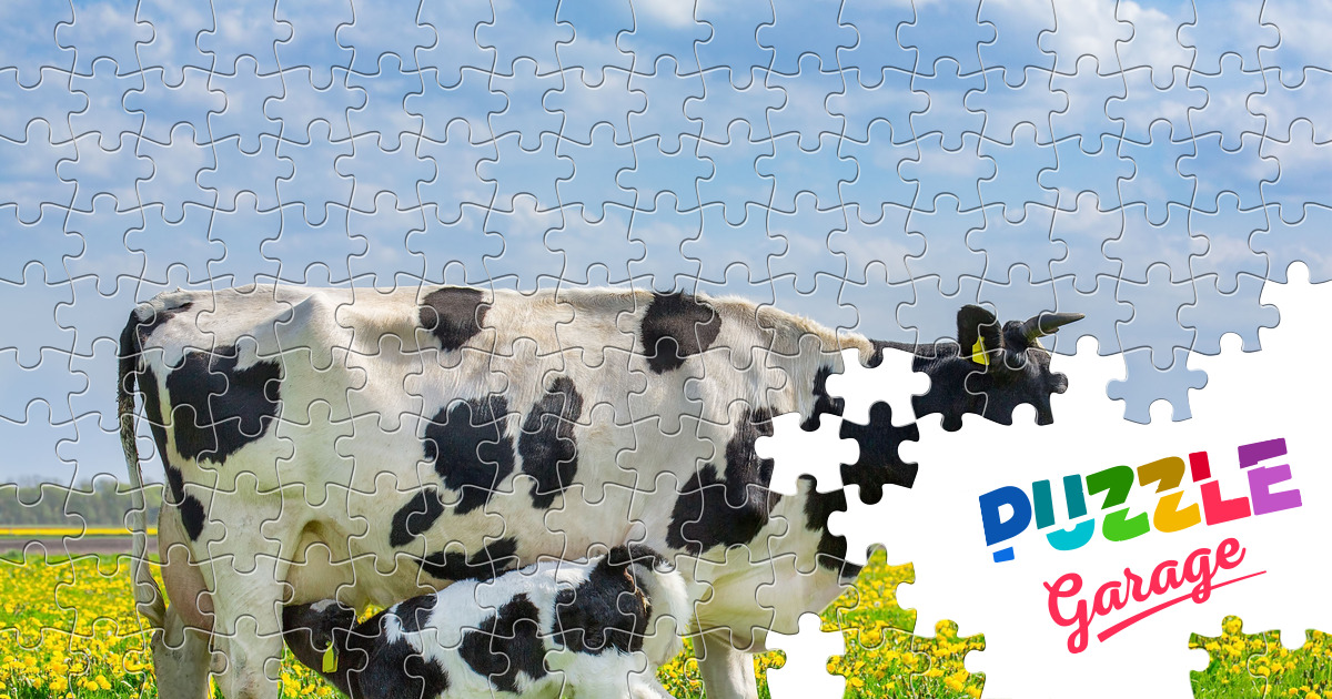 Cow and calf in the pasture Jigsaw Puzzle (Animals, Pets) | Puzzle Garage