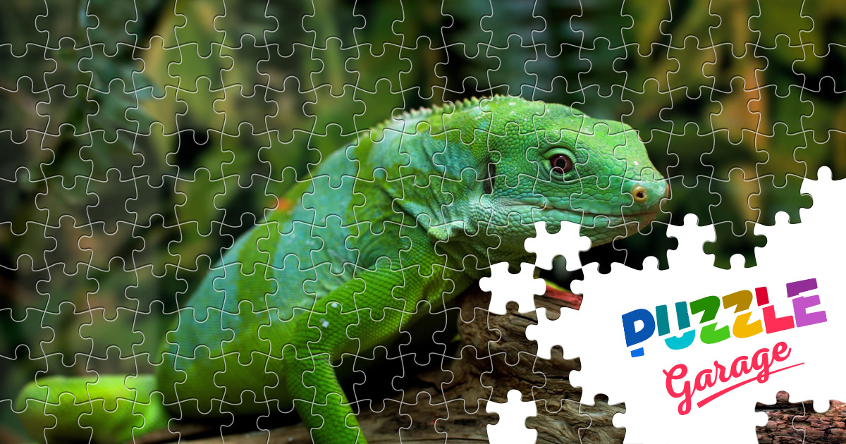 Striped iguana on a log Jigsaw Puzzle (Animals, Reptiles) | Puzzle Garage