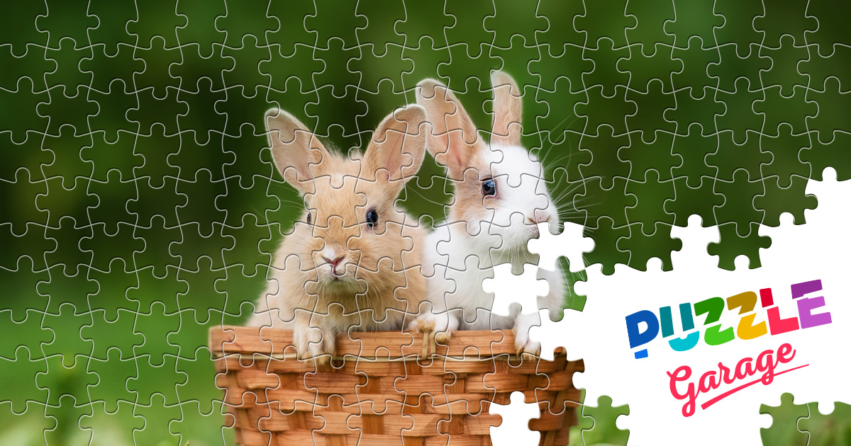 Rabbits in a basket Jigsaw Puzzle (Animals, Pets) | Puzzle Garage