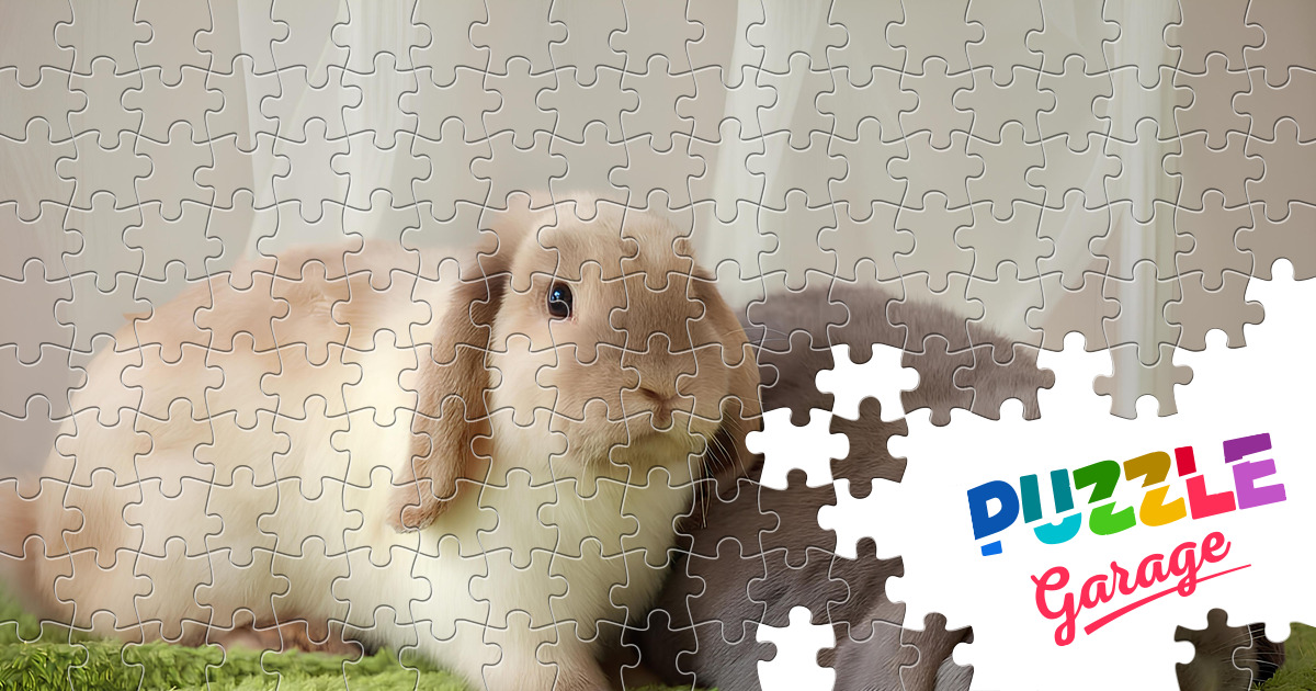Pair of rabbits Jigsaw Puzzle (Animals, Pets) | Puzzle Garage