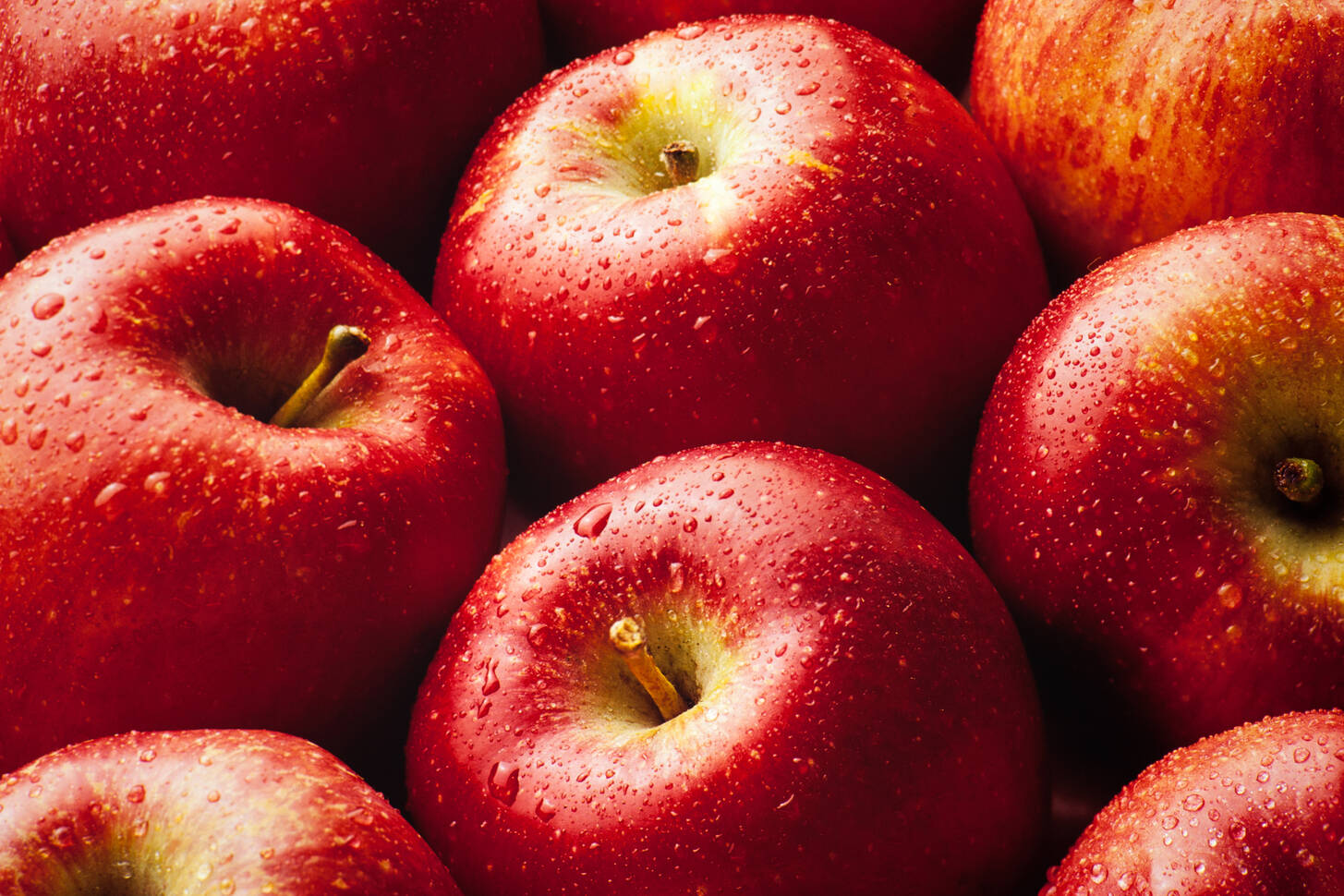 Red ripe apples Jigsaw Puzzle (Plants, Fruits) | Puzzle Garage