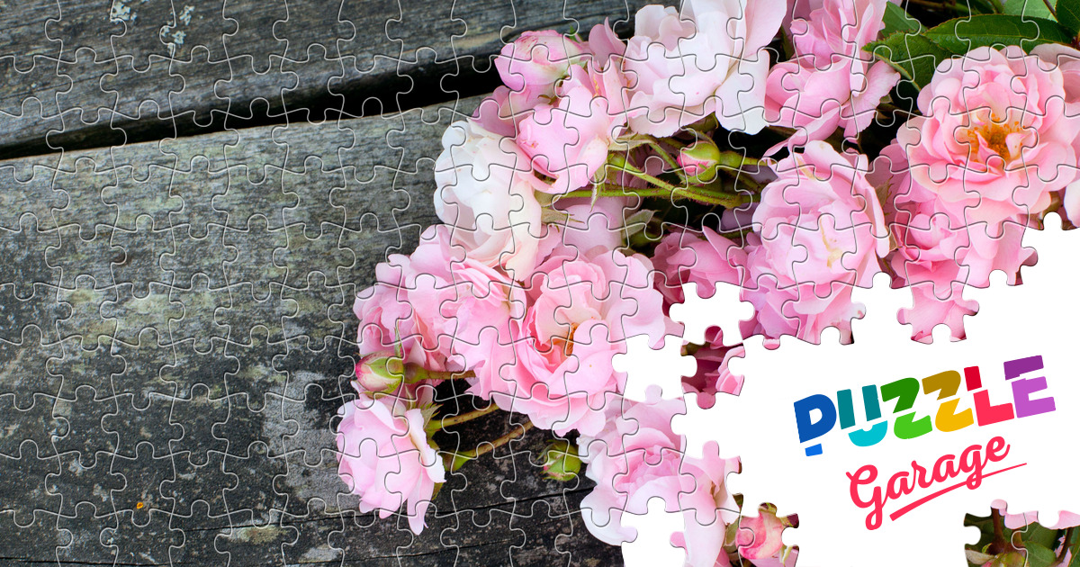 Pink roses on wooden background Jigsaw Puzzle (Plants, Flowers ...