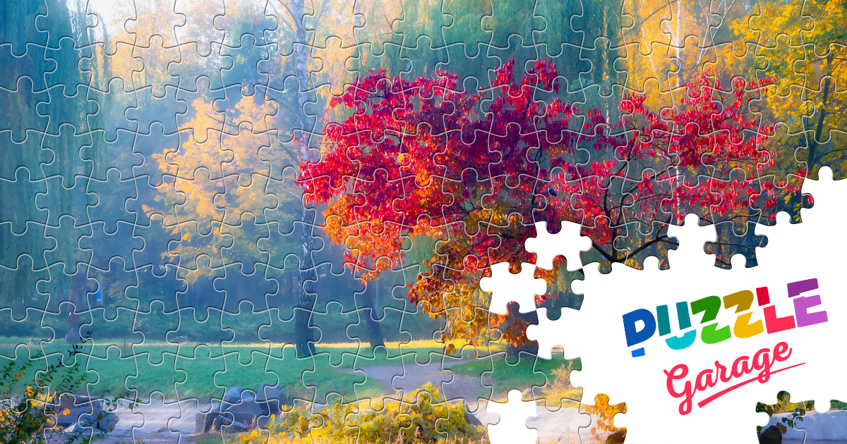 Autumn trees in the park Jigsaw Puzzle (Plants, Trees) | Puzzle Garage