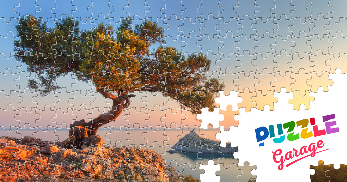 Tree on a rock Jigsaw Puzzle (Plants, Trees) | Puzzle Garage