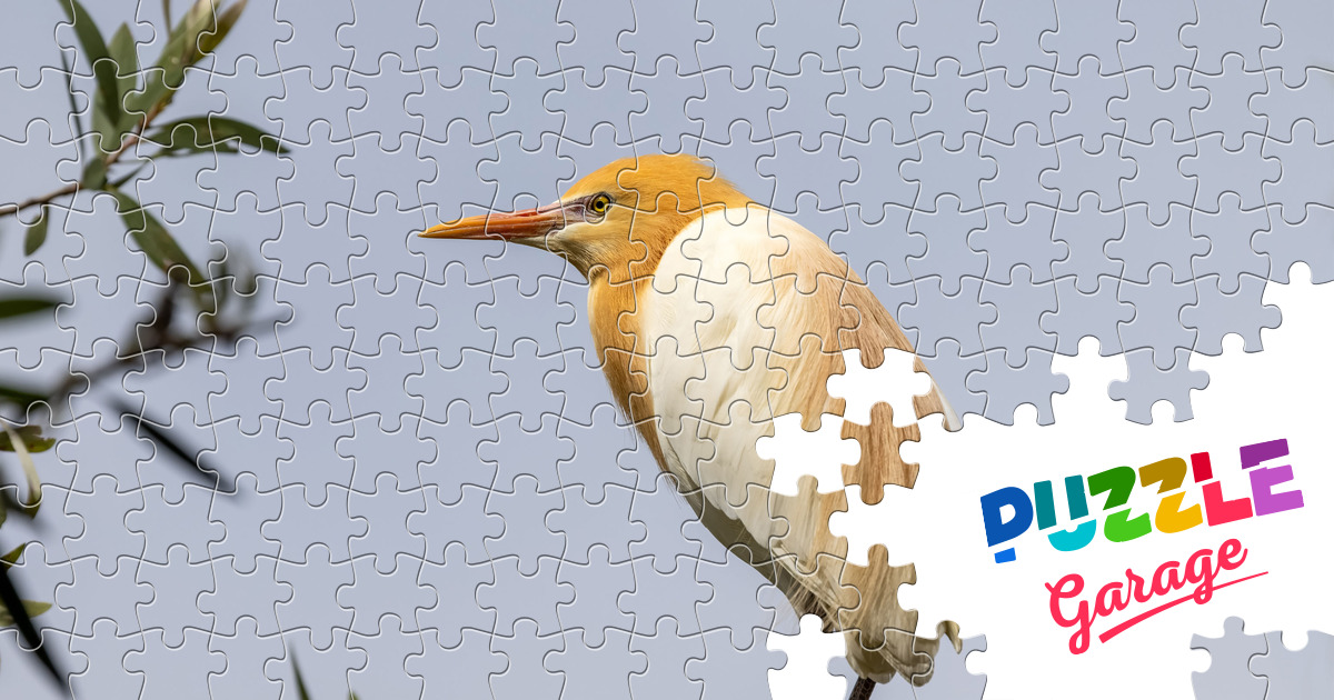 Heron on a branch Jigsaw Puzzle (Animals, Birds) | Puzzle Garage