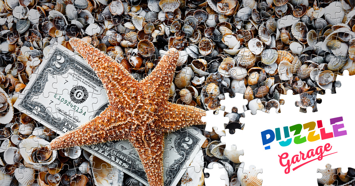 A two-dollar bill on seashells Jigsaw Puzzle (Animals, Marine life ...