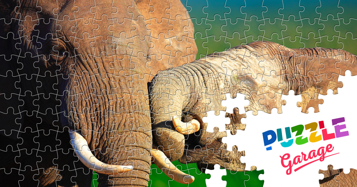 Elephants Jigsaw Puzzle (Animals, Mammals) | Puzzle Garage