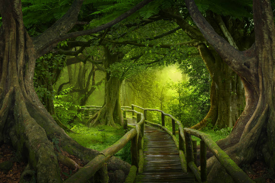 Purple forest Jigsaw Puzzle (Nature, Forest) | Puzzle Garage