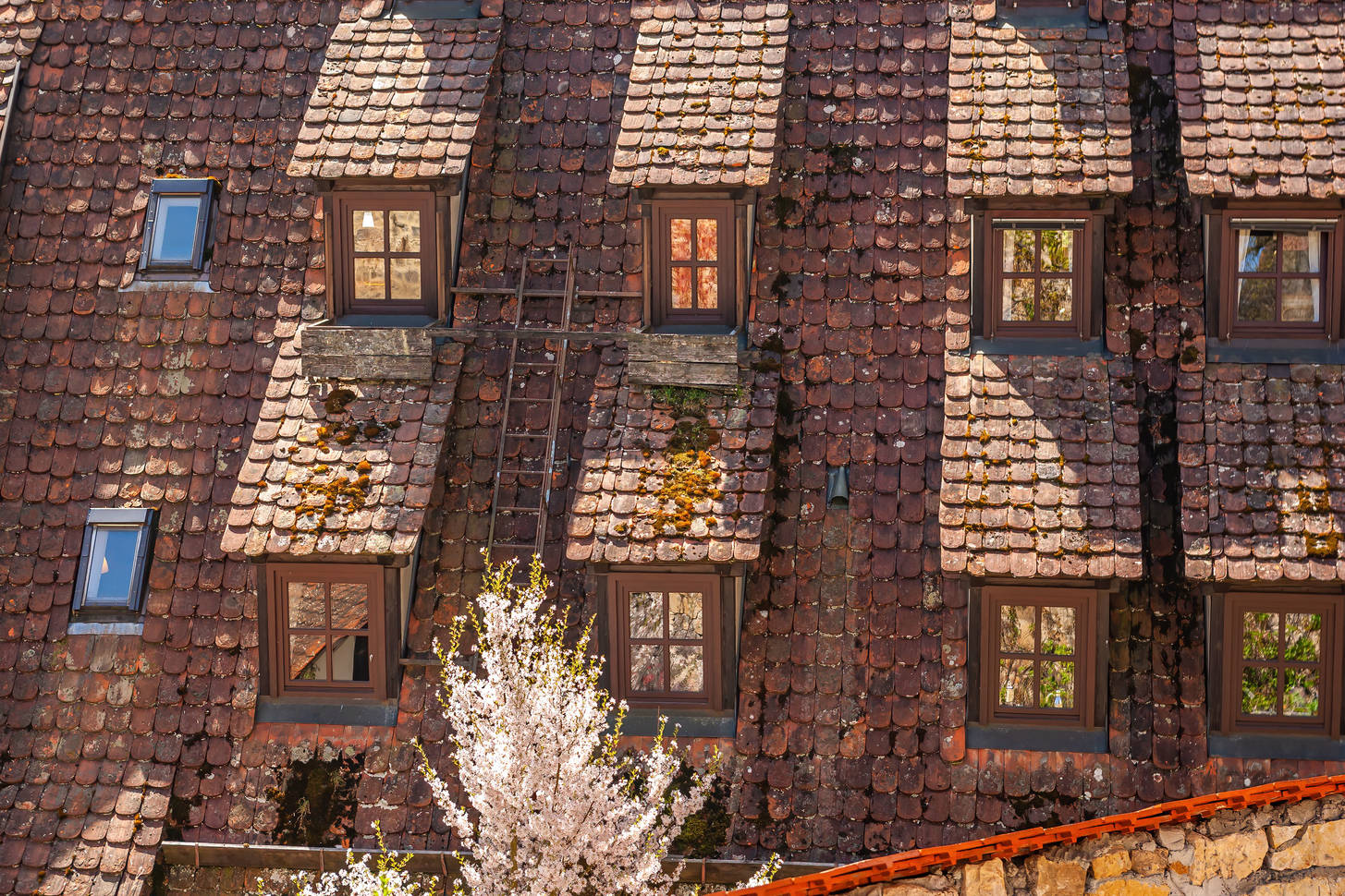 Roof with skylights Jigsaw Puzzle (Countries, Germany) | Puzzle Garage