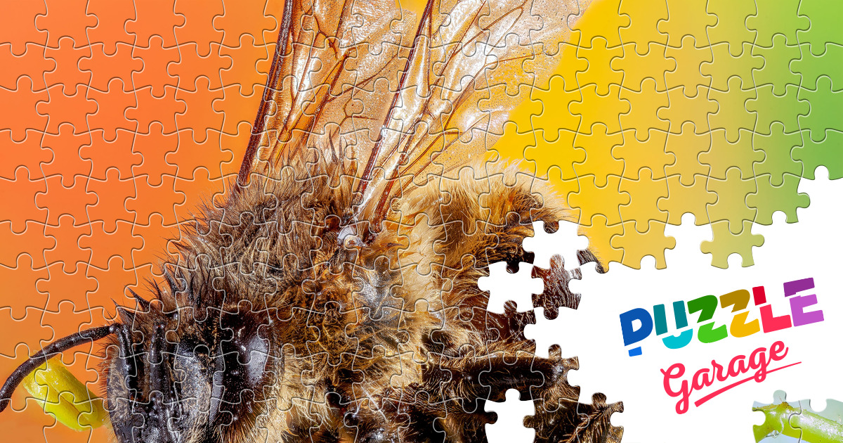 Wild bee Jigsaw Puzzle (Animals, Insects) | Puzzle Garage