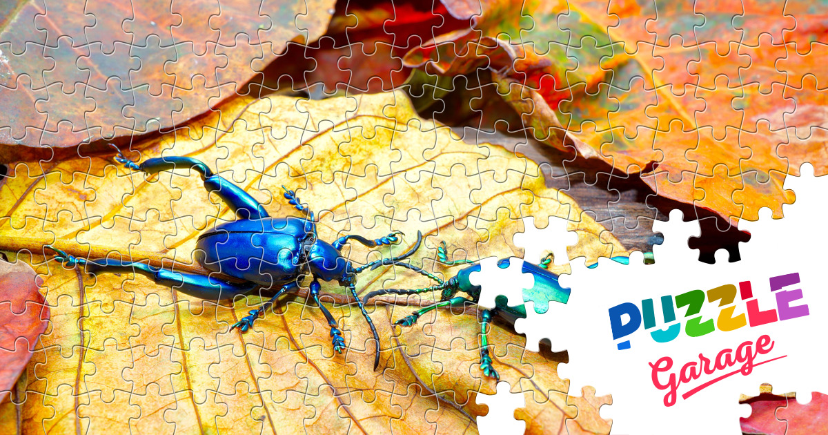 Beetles on autumn leaves Jigsaw Puzzle (Animals, Insects) | Puzzle Garage