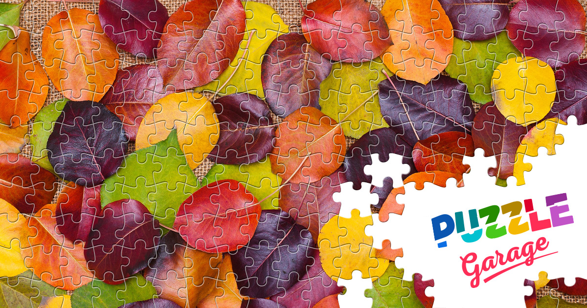 Colorful autumn leaves Jigsaw Puzzle (Plants, Trees) | Puzzle Garage