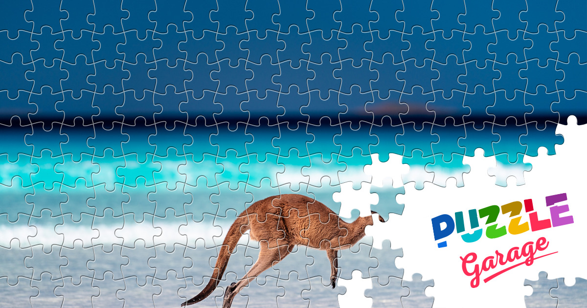 Kangaroo on the beach Jigsaw Puzzle (Countries, Australia) | Puzzle Garage