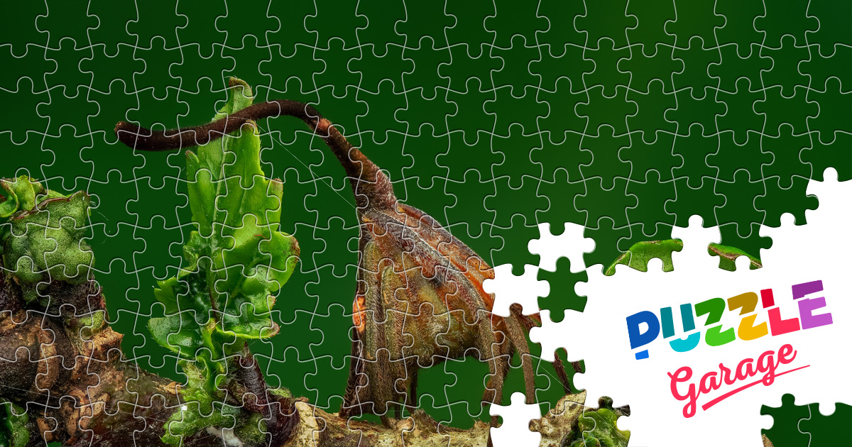 Insect on a branch Jigsaw Puzzle (Animals, Insects) | Puzzle Garage