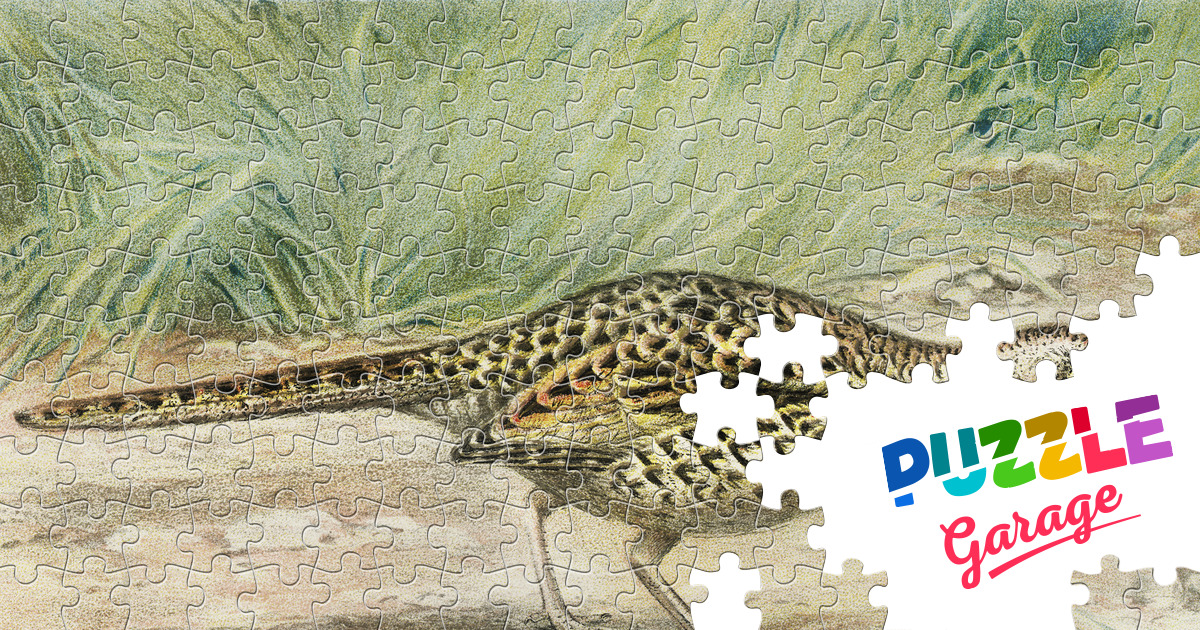 Female ring pheasant Jigsaw Puzzle (Animals, Birds) | Puzzle Garage