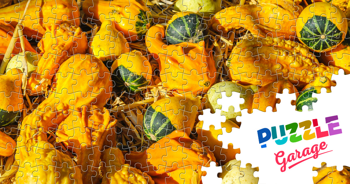 Pumpkins Jigsaw Puzzle (Plants, Vegetables) | Puzzle Garage